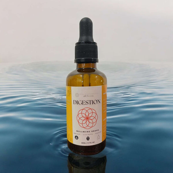 SPIRITUAL HEALING DROPS - DIGESTION - Spirit Based Therapies